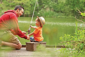 Holiday lodges and log cabins for sale or rent.