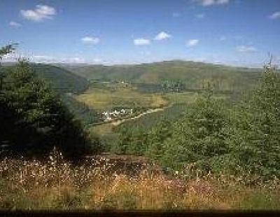 Angecroft Park in Ettrick Valley, Scottish Borders pet friendly