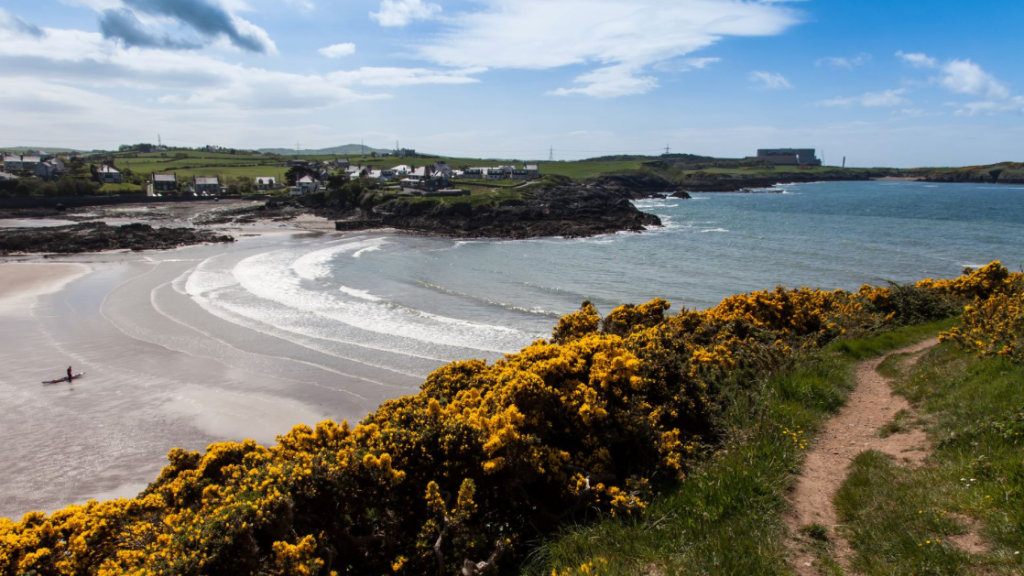 Coed Aros - Holiday Lodge Park in Isle of Anglesey, Wales (North)