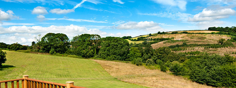 Devon Hills Holiday Park - Holiday Lodge Park in Devon, South West England
