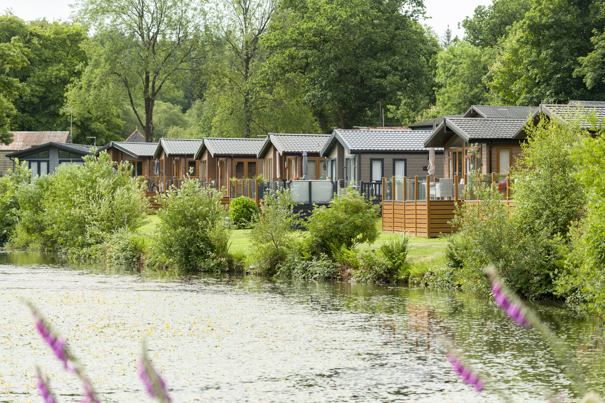 Lakeview Manor, lakeside lodges for sale & rent in Devon with fishing
