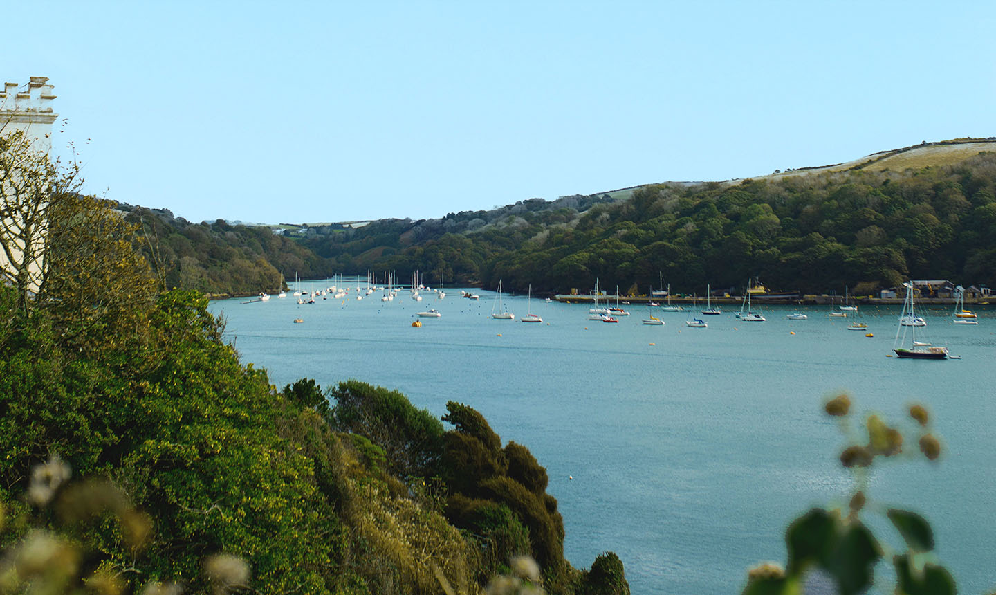 Penmarlam Lodge Retreat, pet friendly lodges for sale & rent Cornwall