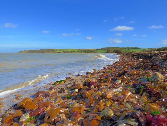 Thorness Bay Holiday Park - Holiday Lodge Park in Isle of Wight, South ...