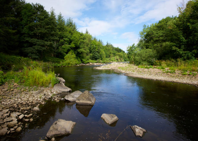 Witton Castle Country Park - Holiday Lodge Park in Durham, North of England
